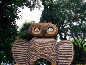 Home - Wildlife & Nature Conservation at Patna Zoo