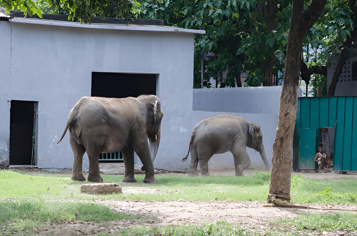 Home - Wildlife & Nature Conservation at Patna Zoo